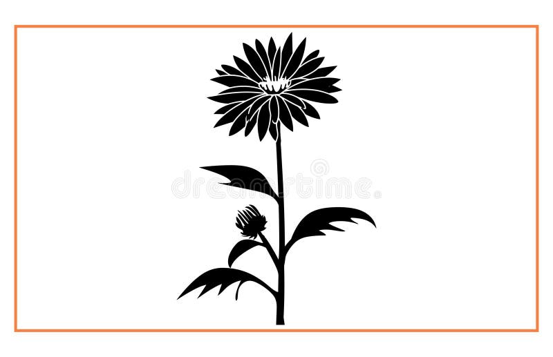 Best Aster Flower Icon, Aster Flower Silhouette Stock Vector ...