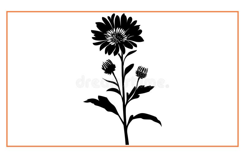 Best Aster Flower Icon, Aster Flower Silhouette Stock Vector ...