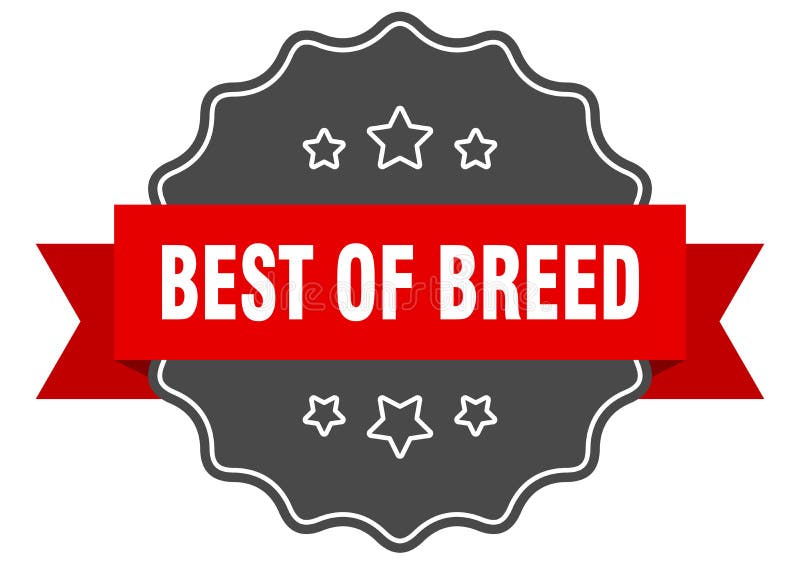 Best of Breed Banner Template. Best of Breed Ribbon Label Stock Vector ...