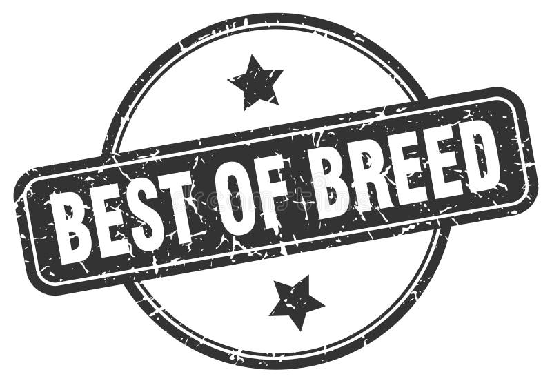 Best of Breed Stamp. Best of Breed Round Grunge Sign Stock Vector ...