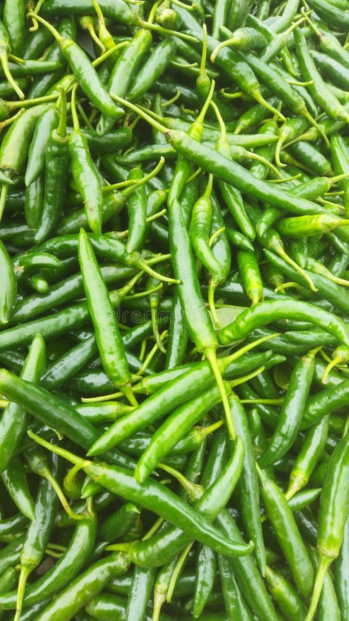 Best chili stock image. Image of chili, produce, vegetables - 324907331