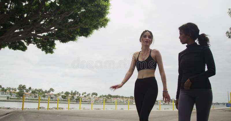 Happy Best Friends Walking and Talking Together Outdoors Stock Footage ...