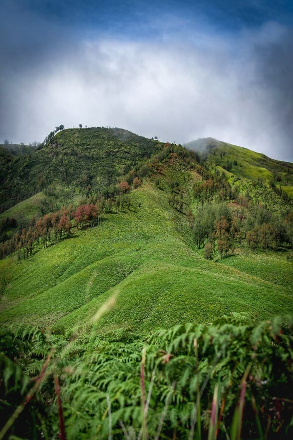 Mountain in java stock photo. Image of mountain, java - 223804728