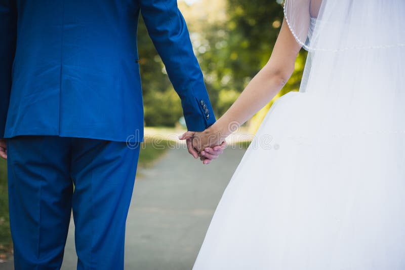 Best handshake stock photo. Image of leadership, friendship - 3288824