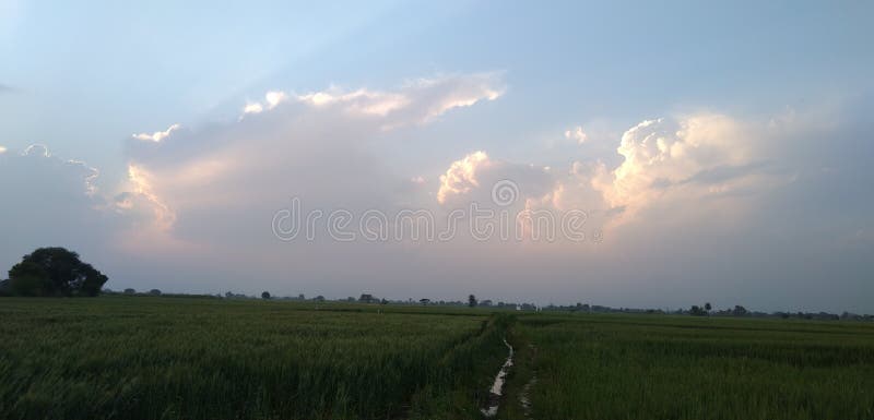 Best nature images stock photo. Image of nature - 144809722