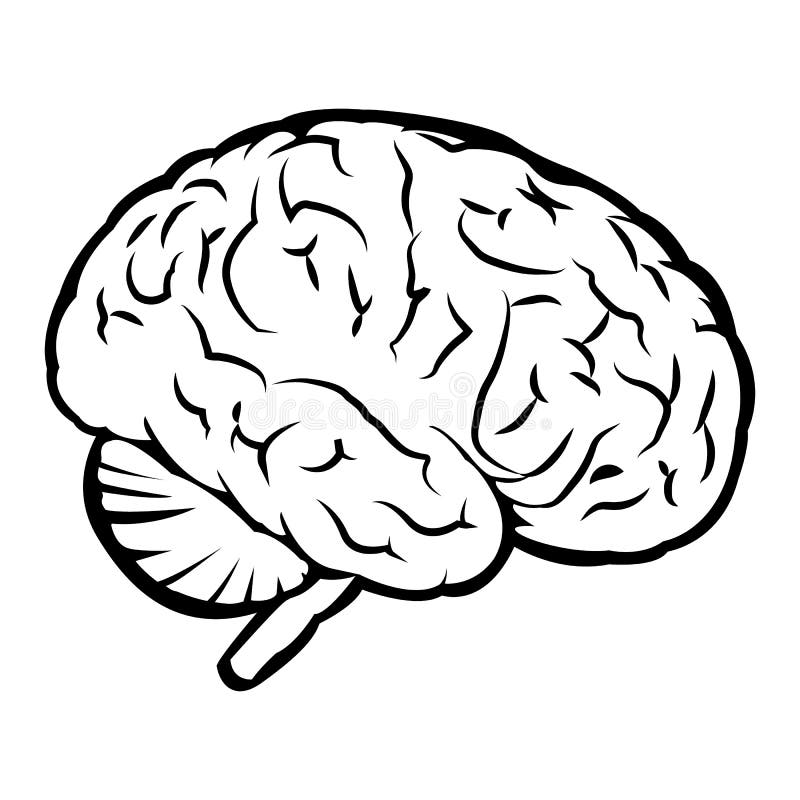 Best human brain sign stock vector. Illustration of black - 61839378