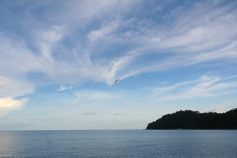 The Best Hunter in the Sky stock image. Image of king - 56033589