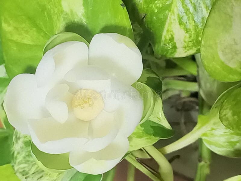 Best moment in this night stock photo. Image of nature - 308172154