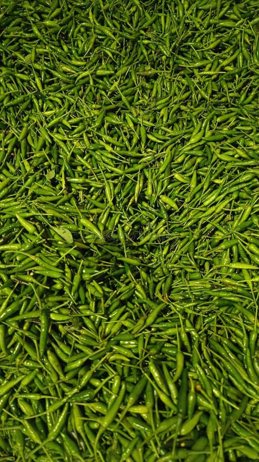 Best Natural Green Chilli Background Wallpaper Smartphone Stock Photo ...