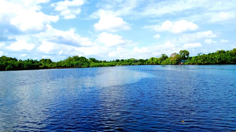 Best of nature stock photo. Image of mobile, nature - 170504608