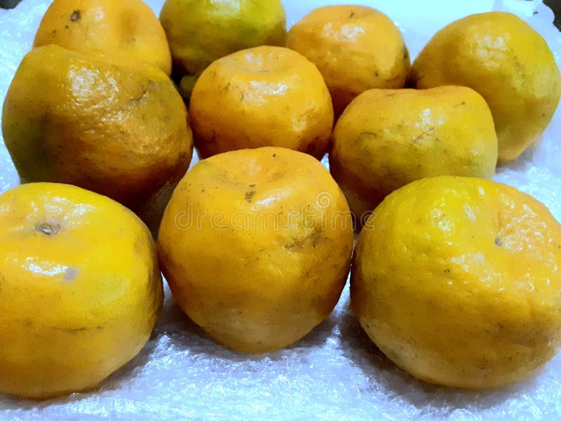 The best oranges of 2021 stock photo. Image of yellow - 206322744