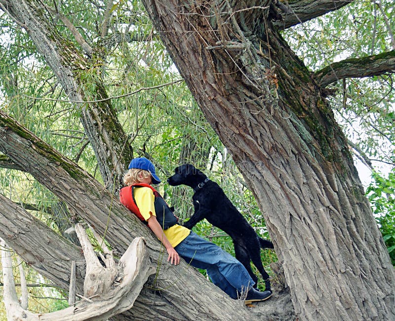 Best Pals Picture. Image: 6327226