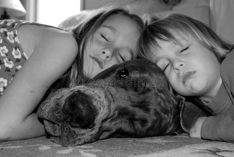 Best pals forever stock photo. Image of friends, puppy - 3968918