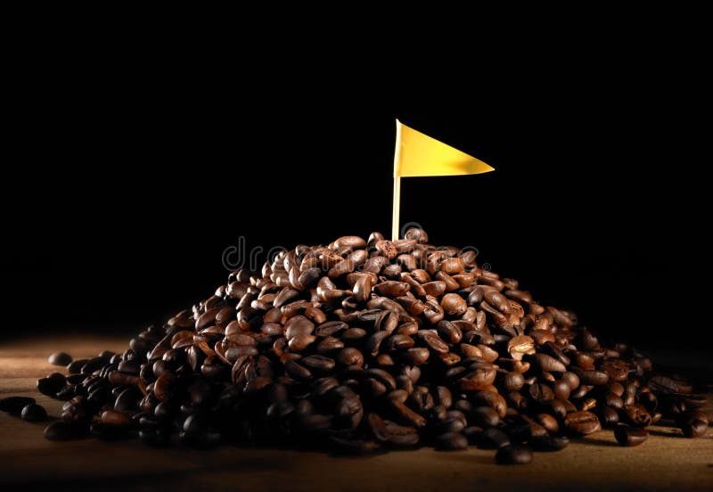 The Best Quality Coffee Bean Stock Photo - Image of flavor, closeup ...