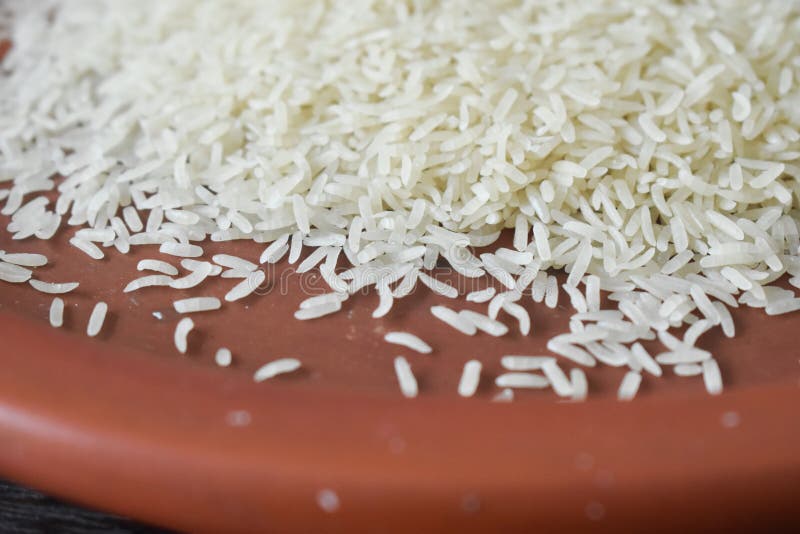 Best quality rice for rice stock photo. Image of garden - 374608376