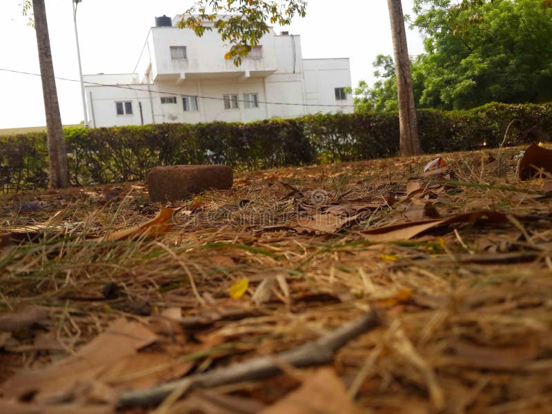 Best Red Garden on Withe House Stock Photo - Image of garden, house ...