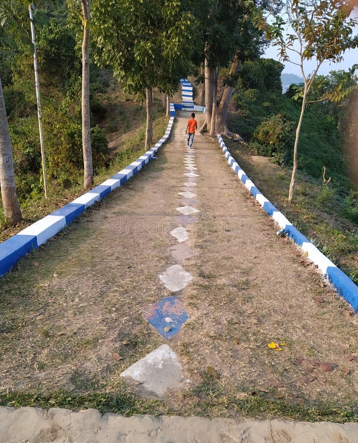 Best road side garden stock image. Image of road, railway - 196661527