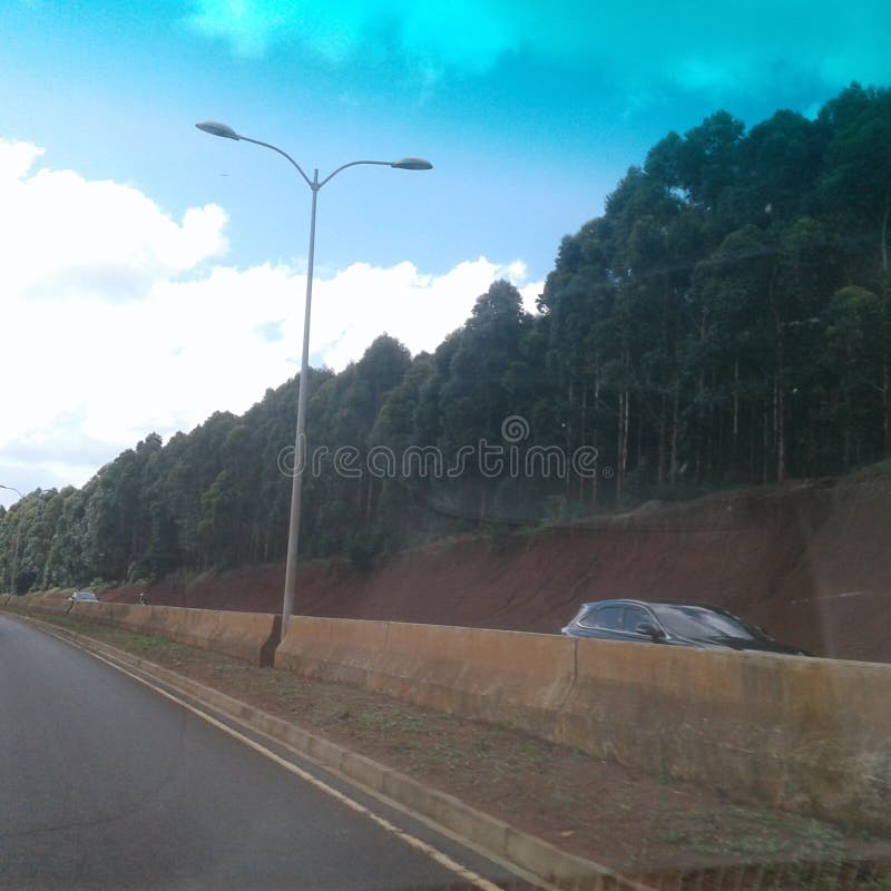 Best Road Side View Tall Trees on One Side Stock Image - Image of tall ...