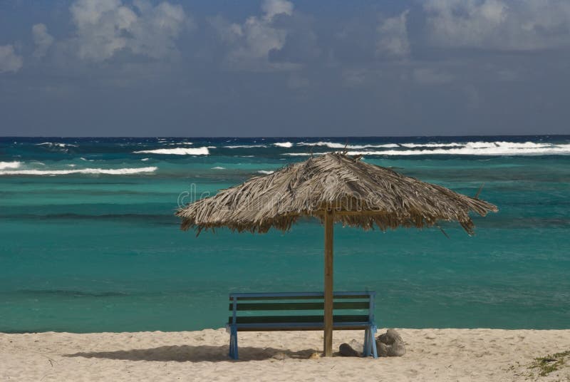 The Best Seat on the Beach stock photo. Image of beach - 3825022