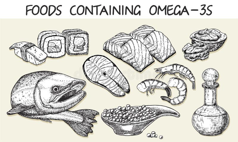 Best Sources of Omega 3 Vector Sketch. Health Care Concept Sketch Stock ...