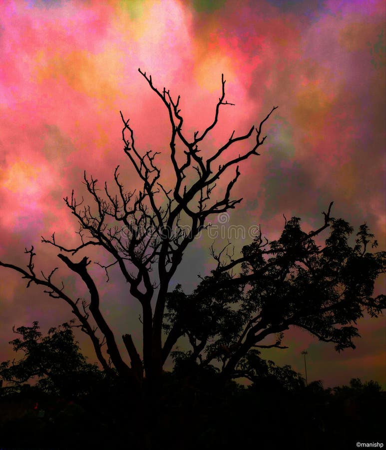 Best Sunset Ever by My Photo Stock Photo - Image of sunset, black ...