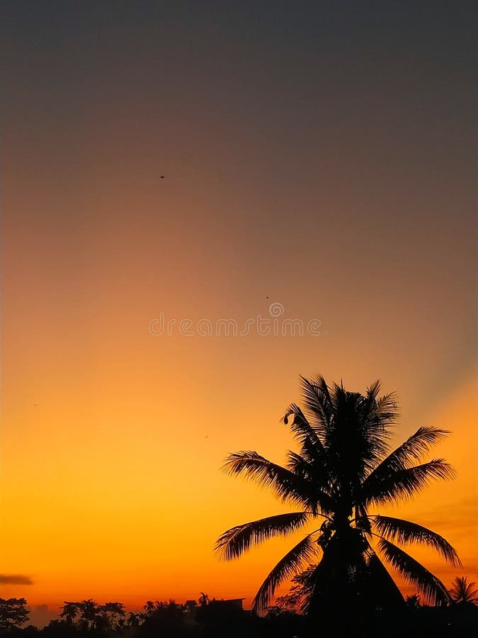 Best Sunset in Life, Romantic Stock Photo - Image of cloud, afterglow ...