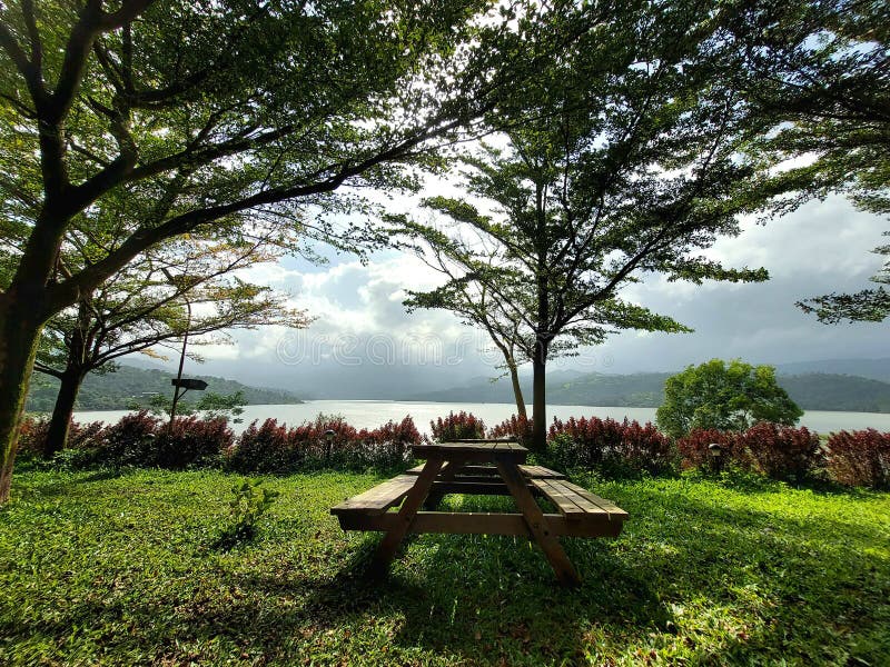 Best View of Backwater of Nature Stock Image - Image of tree ...
