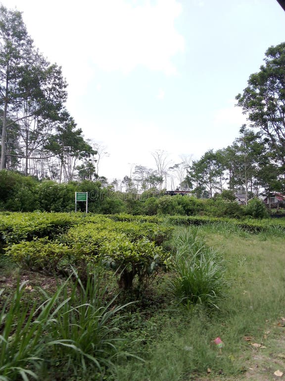 The Best View, Beautiful View in Mountain Stock Photo - Image of moint ...