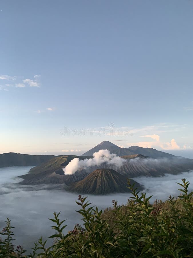 The Best View from Bromo Mountain Stock Photo - Image of leaf, dont ...