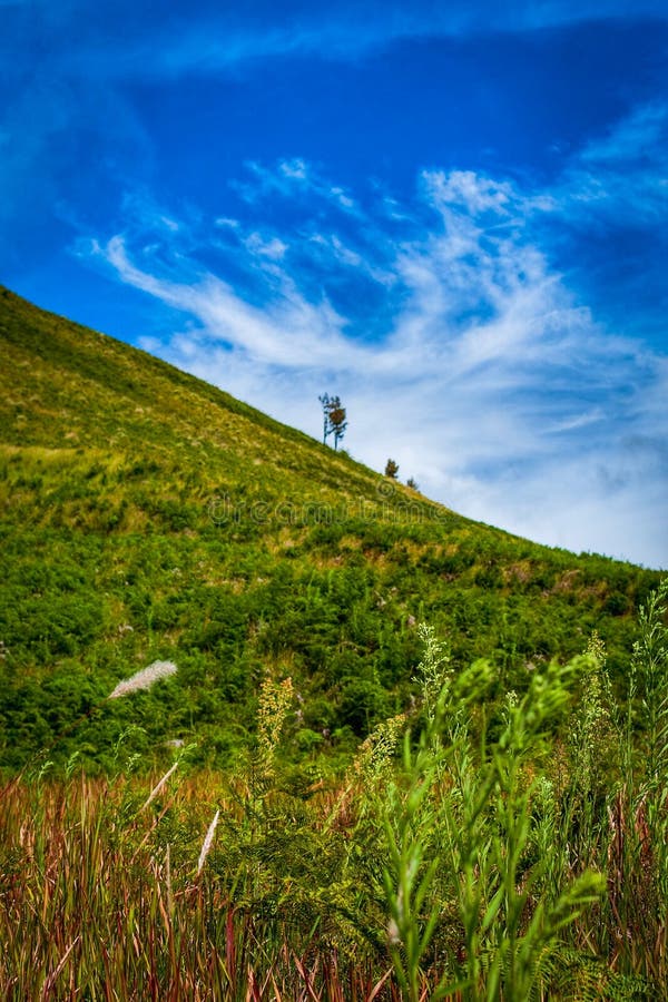 Best View Green Mountain in Java Stock Photo - Image of java, tree ...