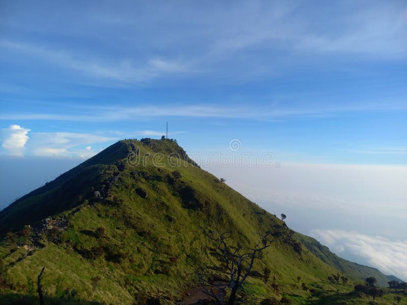The Best View of Mount Merbabu Stock Image - Image of cloud, mount ...