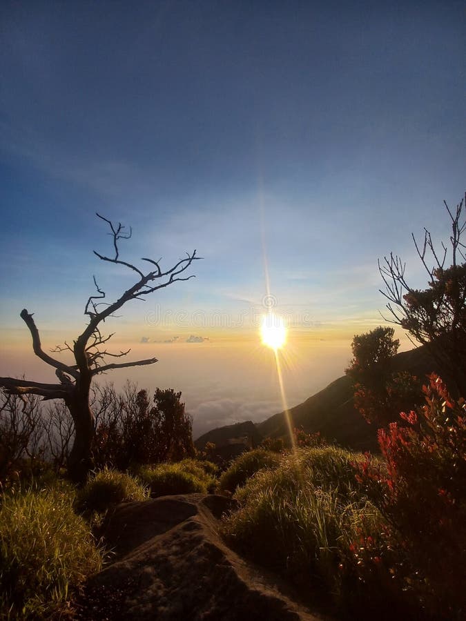 Best view mount merbabu stock photo. Image of autumn - 276626286