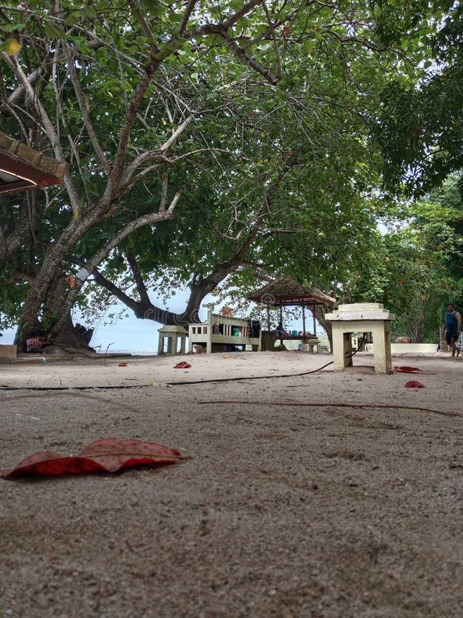 The Best View of Saoka Beach Stock Photo - Image of yard, saoka: 394788004