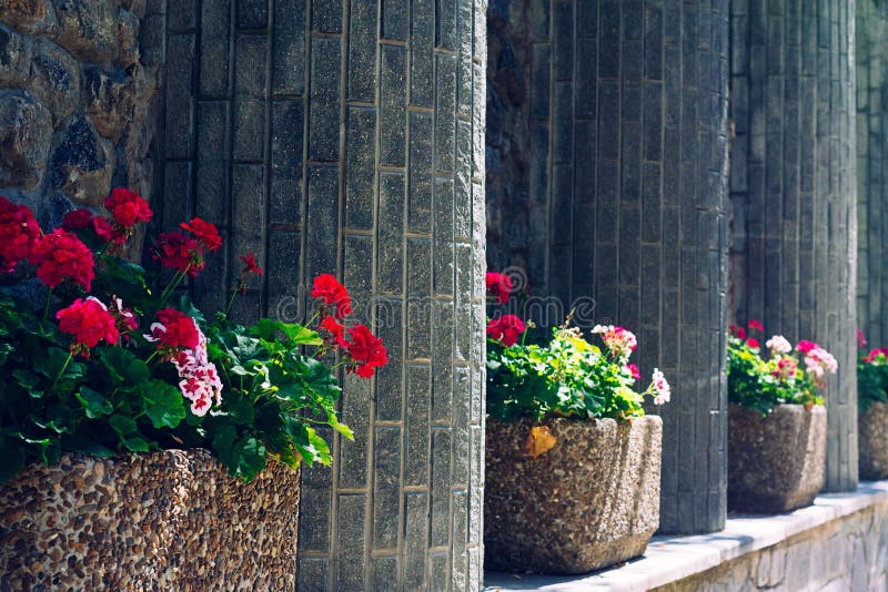 Best View of Stone Wall and Red Flower Stock Image - Image of house ...
