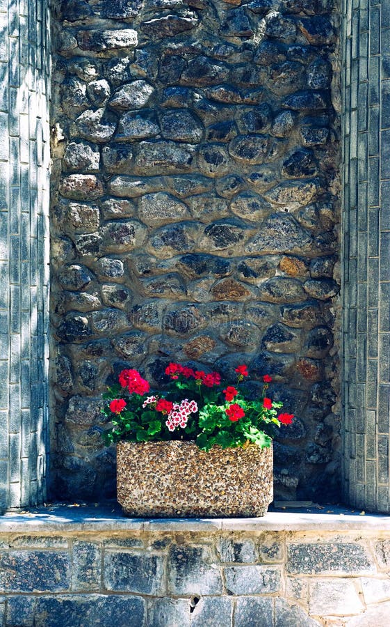 Best View of Stone Wall and Red Flower Stock Photo - Image of ...