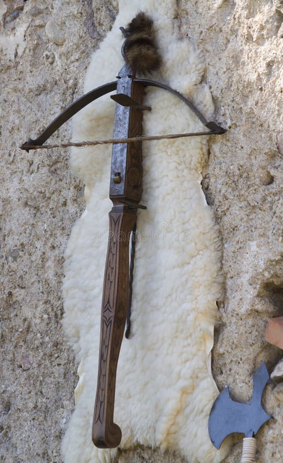 Besta Medieval Grande Velha Sem Uma Seta No Museu Exterior Aberto ...