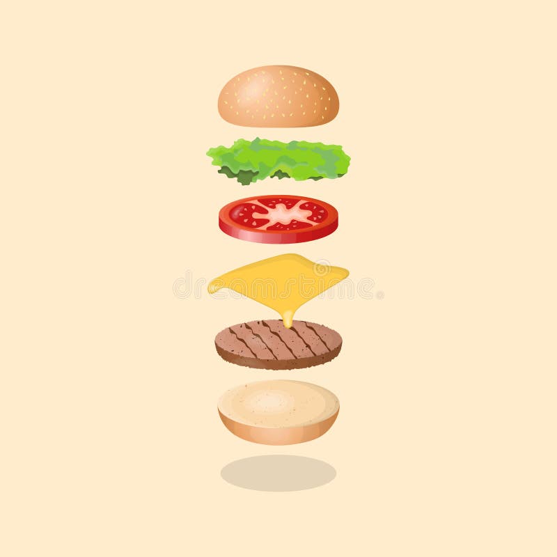 Bestandteile des Burgers s vektor abbildung. Illustration von ...