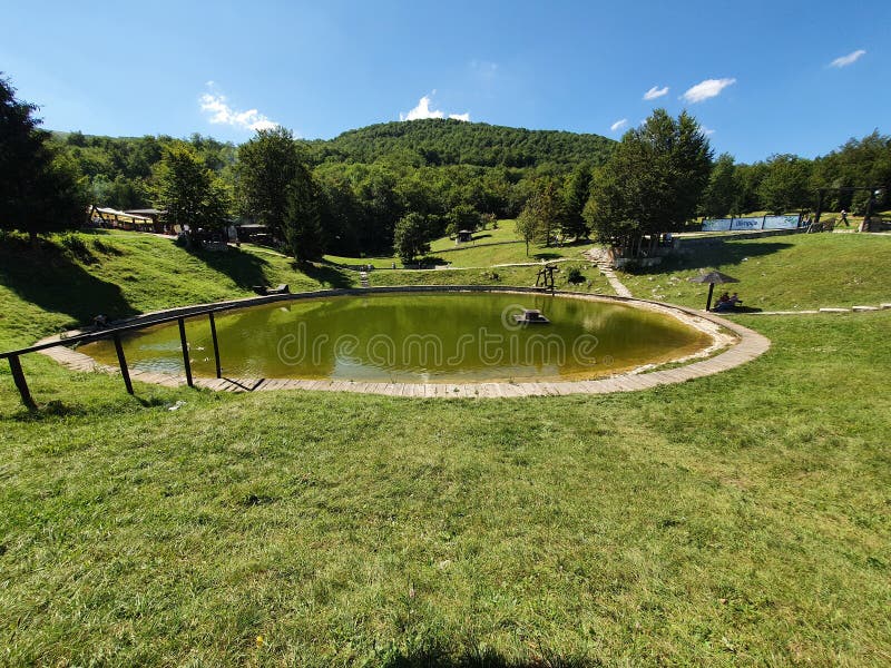 Besutiful mini lake stock image. Image of backyard, grass - 241938853