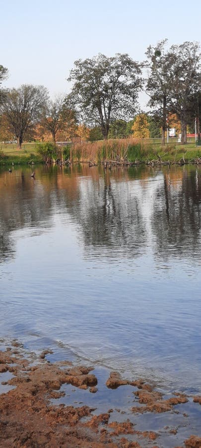 Besutiful Reflection on Waters Stock Image - Image of nature, plant ...