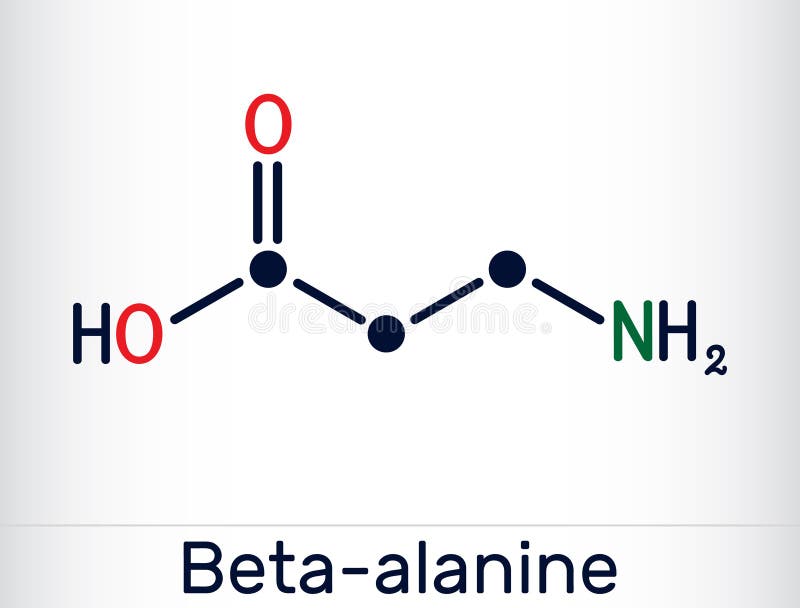 Beta-alanine Molecule. it is Naturally Occurring Beta Amino Acid Stock ...