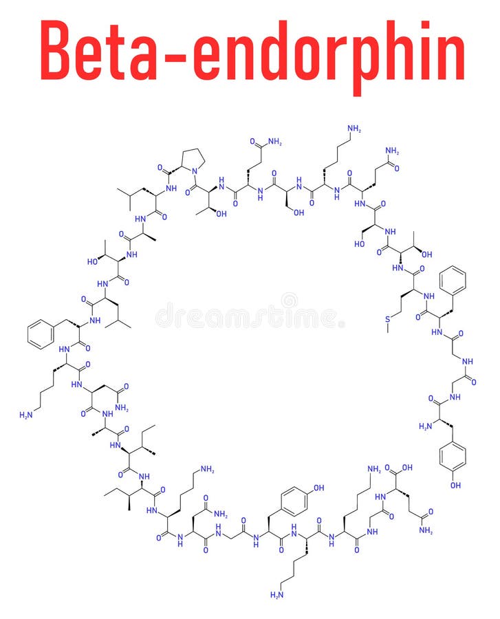 Beta-endorphin Pain Relief Peptide, Chemical Structure Stock ...