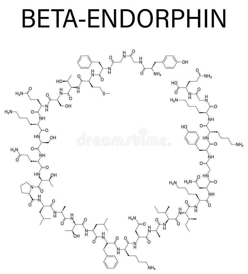 Endorphin Molecule