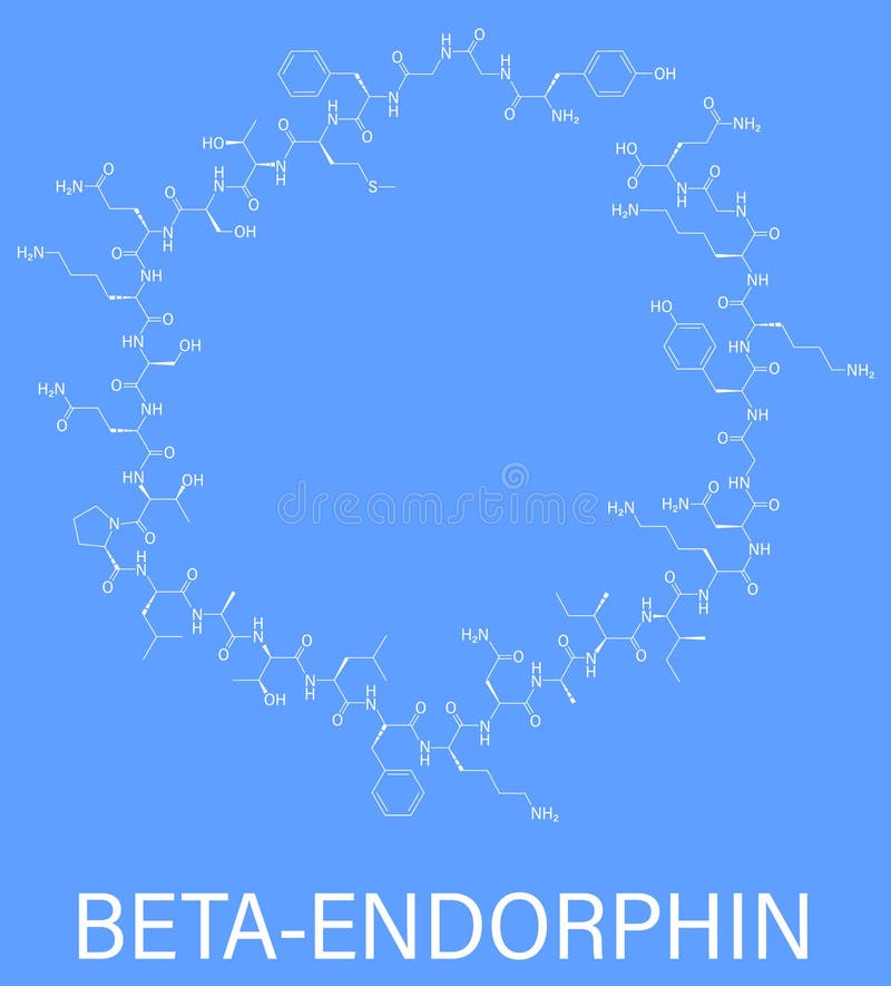 Beta-endorphin Molecule. Skeletal Formula. Stock Vector - Illustration ...