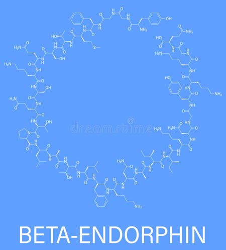 Beta-endorphin Molecule. Skeletal Formula. Stock Vector - Illustration ...