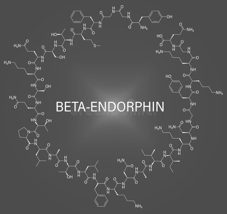Endorphin Molecule Stock Illustrations – 294 Endorphin Molecule Stock ...