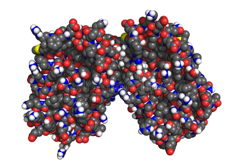 Beta Molecola Dell'interferone, Struttura Chimica. Citochina Usata Alla ...