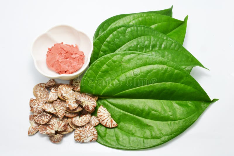 Betel leave stock image. Image of snack, tree, thai, betel - 63818855