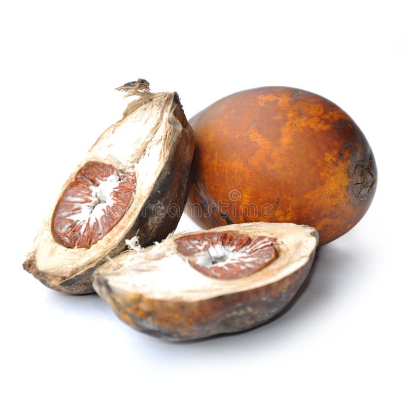 Betel Nut stock photo. Image of areca, material, myanmar - 22505864