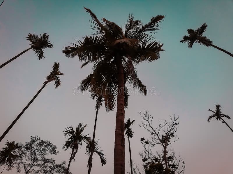 Tamil Mozhi Png Stock Photos - Free & Royalty-Free Stock Photos from ...