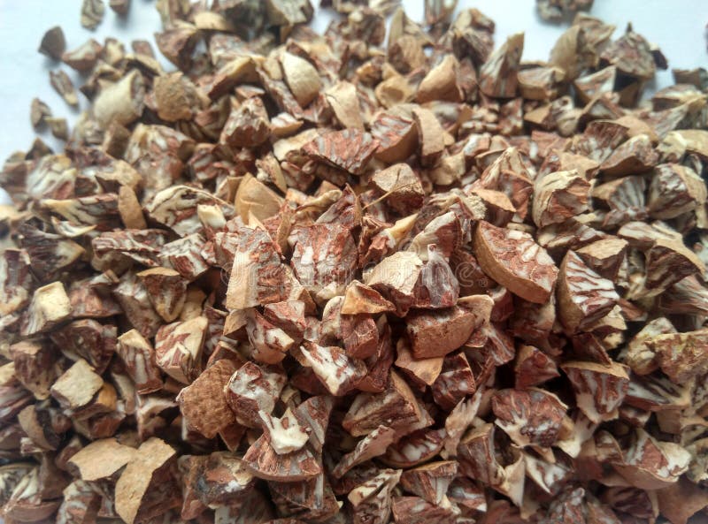 Betel nuts slice shapes stock image. Image of dried - 197977427